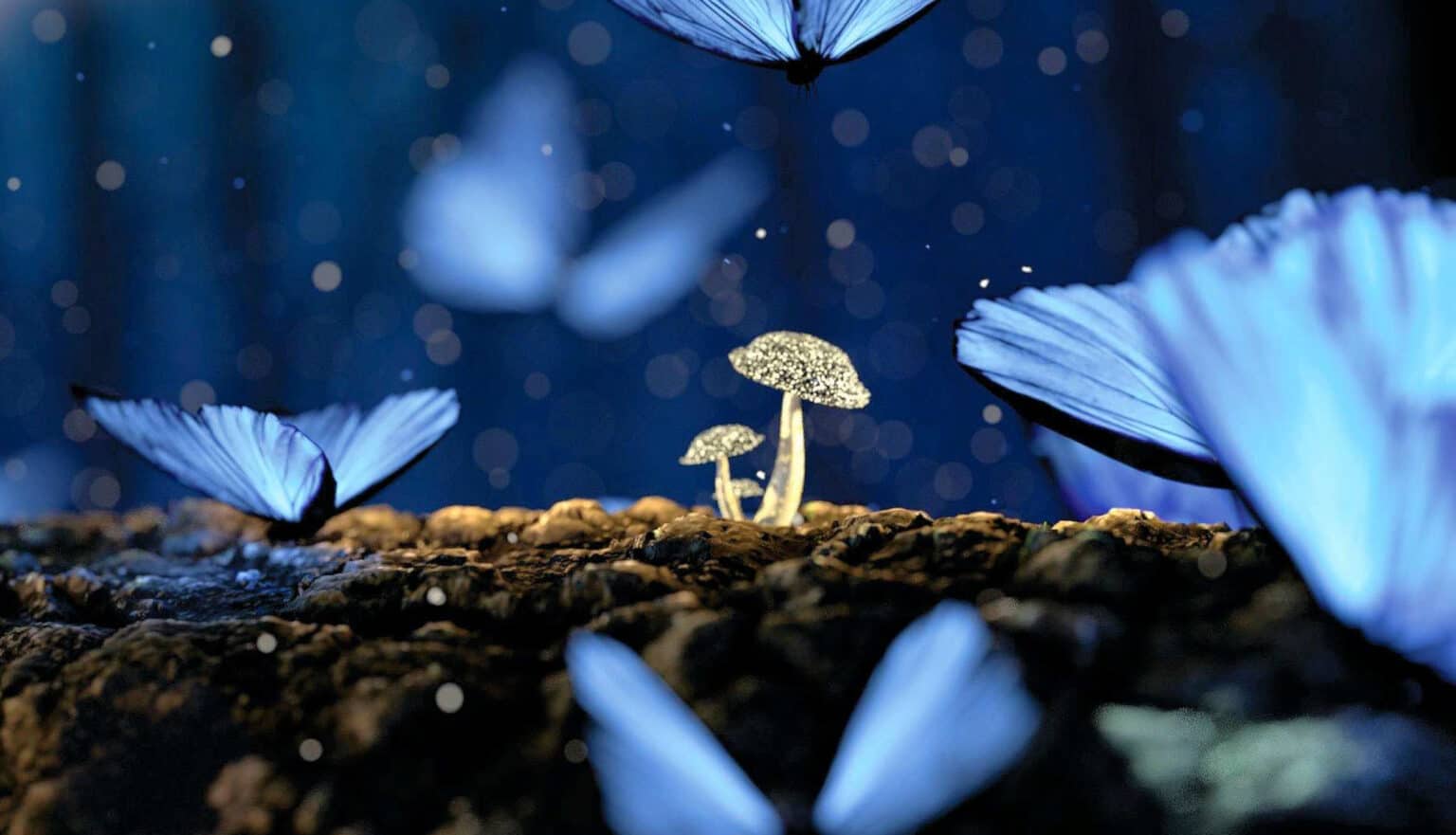 Paul Hetzler challenges puritanical work ethic with "Daydream Believer"