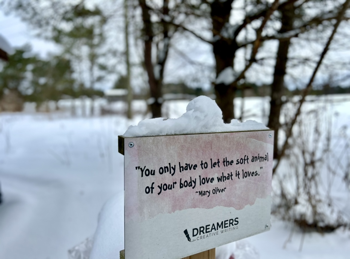 Mary Oliver: The Enduring Wisdom of Her Nature-Inspired Poetry